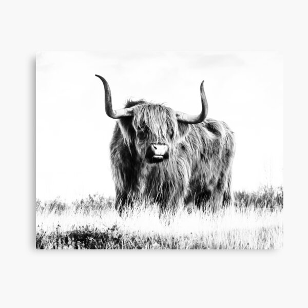 "Bull print, Animal, Nature, Scandinavian print, Scandinavian, Nordic ...