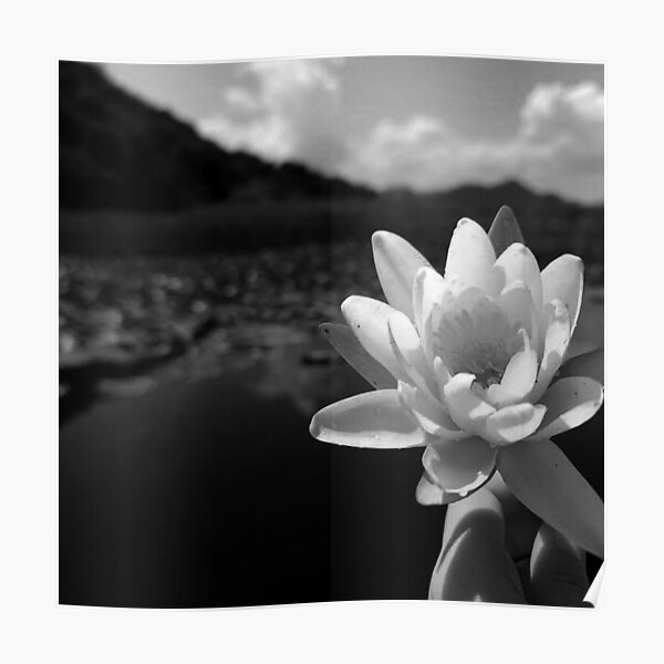 "lake flower and perfect day" Poster for Sale by Naturebeauties | Redbubble