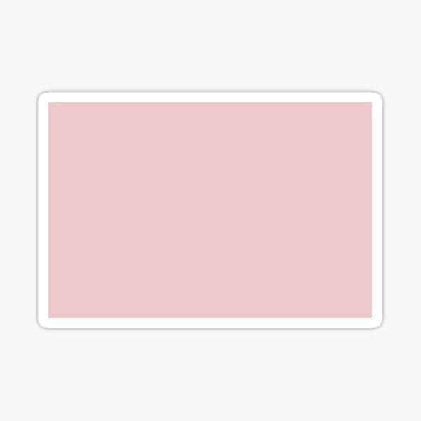 "Pale Pastel Pink Solid Color Pairs PPG Pink Cardoon PPG1051-2 - All ...