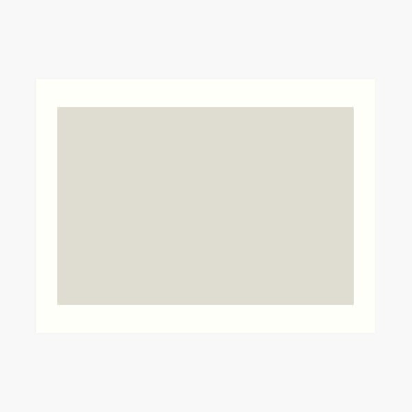 "Pale Veiled Gray - Grey Solid Color Pairs PPG Shark PPG1006-2 - All ...