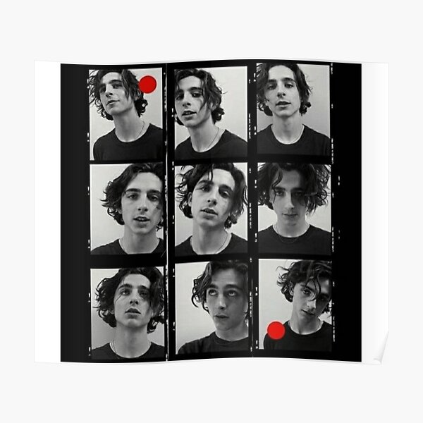 "Timothée Chalamet " Poster for Sale by shandsiehily | Redbubble