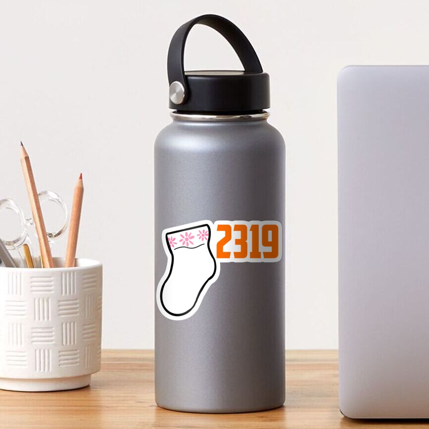"We’ve got a 2319" Sticker by AllyInDreamland | Redbubble