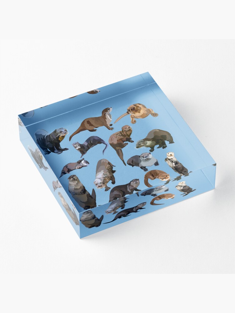"O is for Otter " Acrylic Block for Sale by thezoogirl | Redbubble