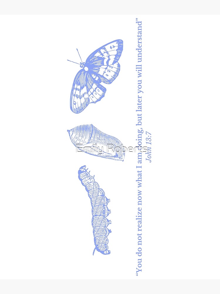 "Caterpillar, cocoon and butterfly transformation, Bible verse John 13: ...