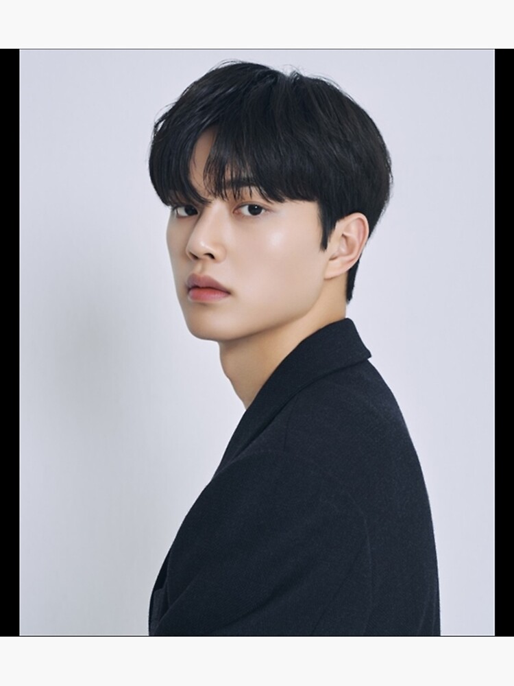 "Song Kang Model Song Kang Best Boy" Poster for Sale by raimoody93 ...