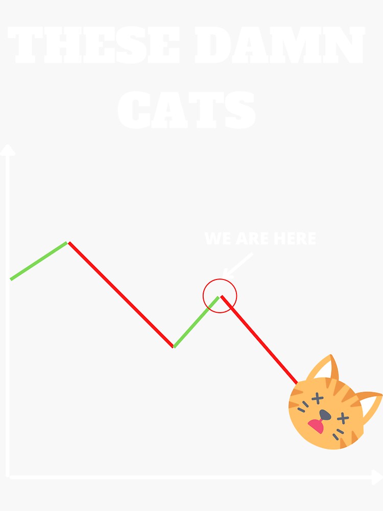 "Dead Cat Bounce | Funny Cate Meme | Funny Cat T-shirt | Funny Cat Mugs ...