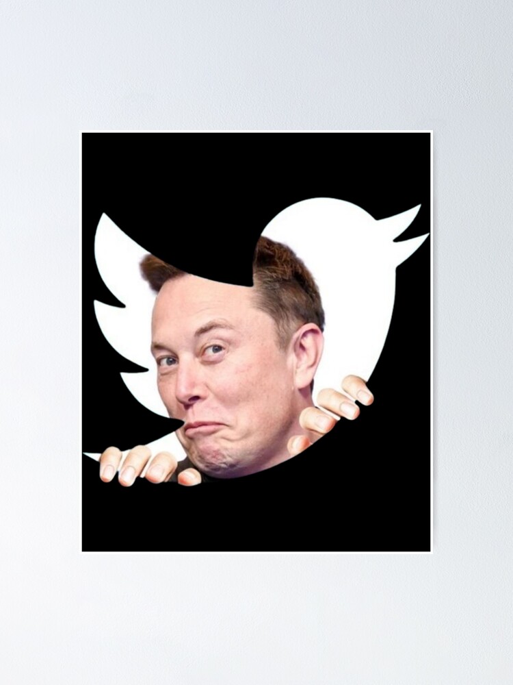 "Elon Musk Buying Twitter Meme -setting the bird free - elon meme ...