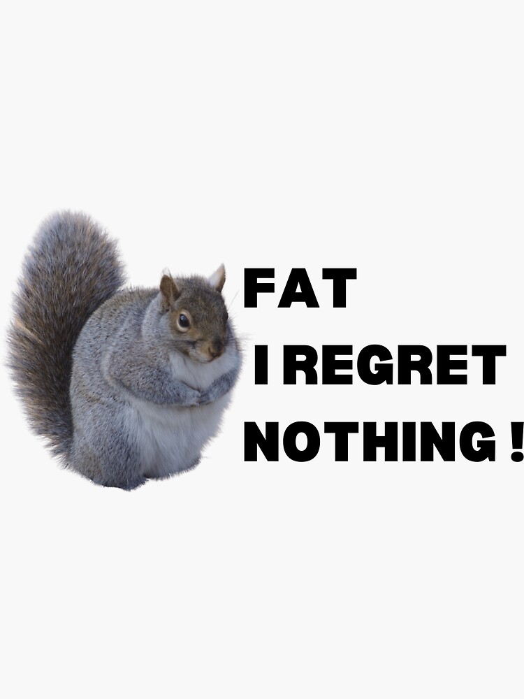 " Fat Squirrel Meme" Sticker for Sale by oussyry | Redbubble