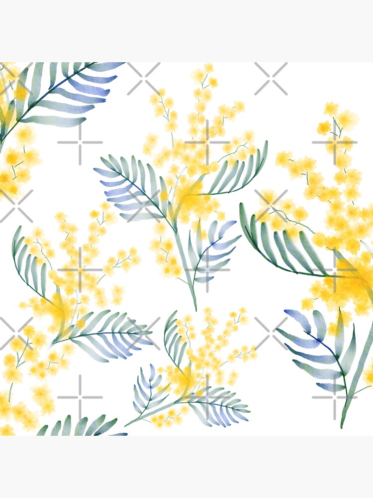 "Colorfull Mimosa" Sticker by MontaigneB | Redbubble