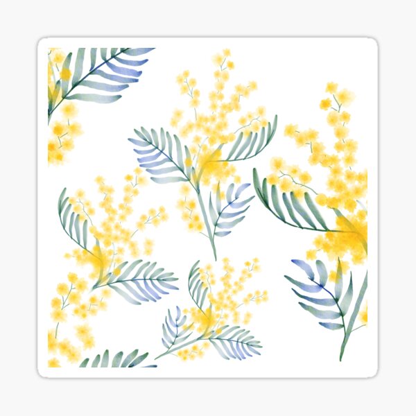"Colorfull Mimosa" Sticker by MontaigneB | Redbubble
