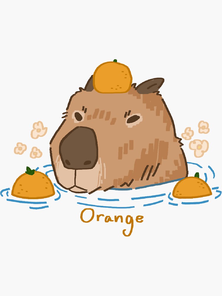 "Capybara Swimming With Oranges Sticker" Sticker for Sale by ...
