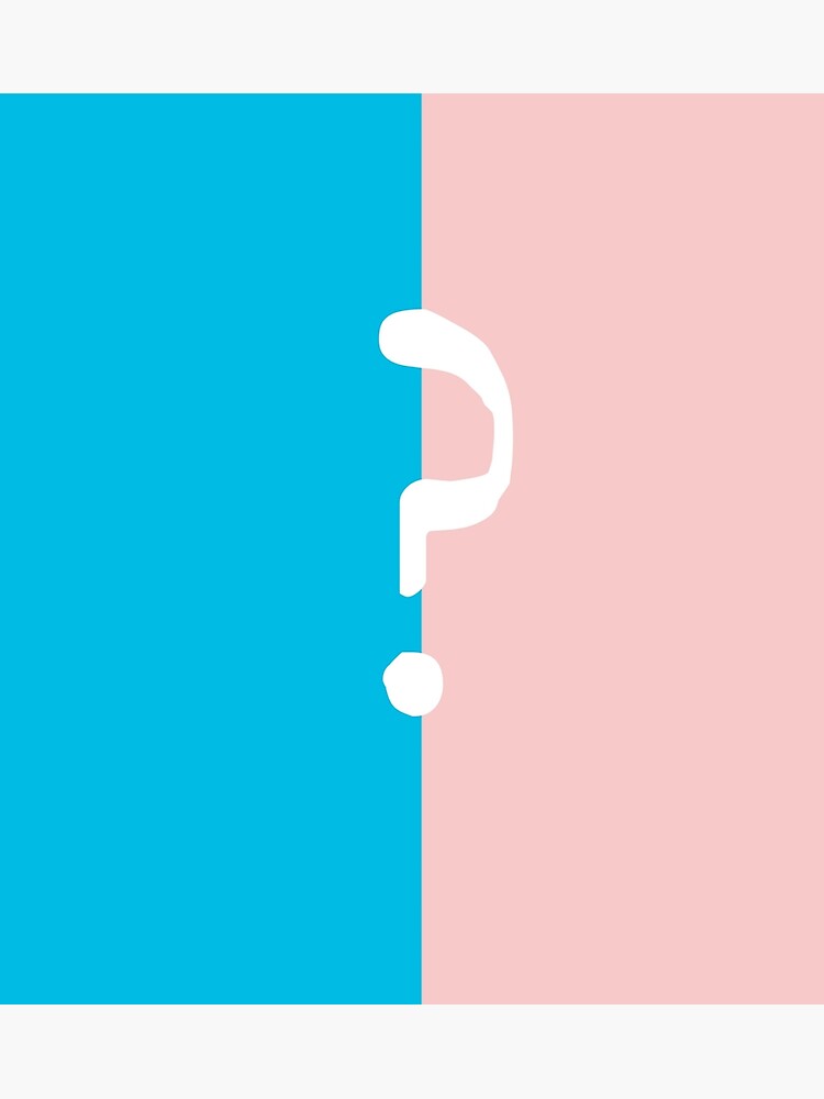 Póster «revelación De Género Signo De Interrogación Sobre El Embarazo
