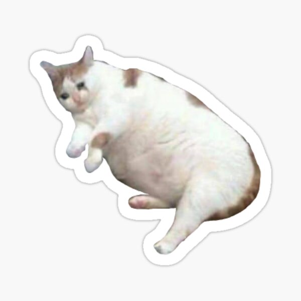 Sad Cat Stickers Redbubble