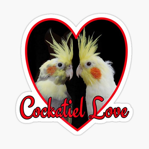 "Cockatiel Love Heart Parrot" Sticker for Sale by kniolaifyiuka | Redbubble