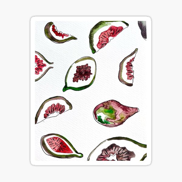 "figs" Sticker for Sale by Sopicon98 | Redbubble