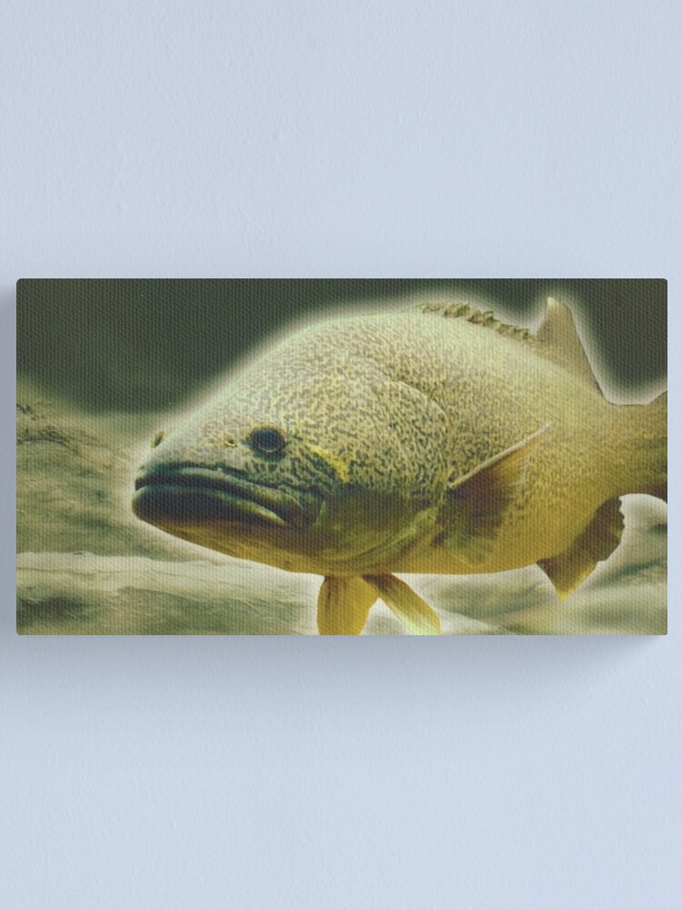 "Murray Cod" Canvas Print for Sale by ndarby1 | Redbubble