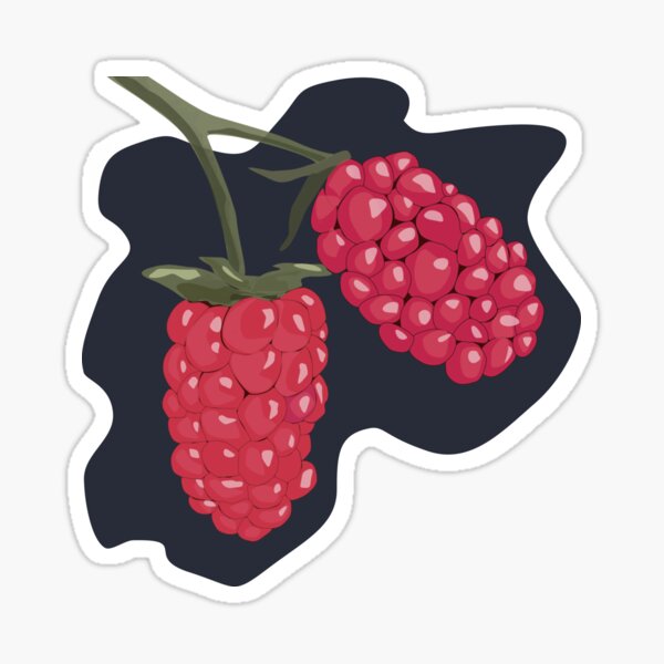"Hand-drawn raspberry" Sticker for Sale by thefiori-art | Redbubble