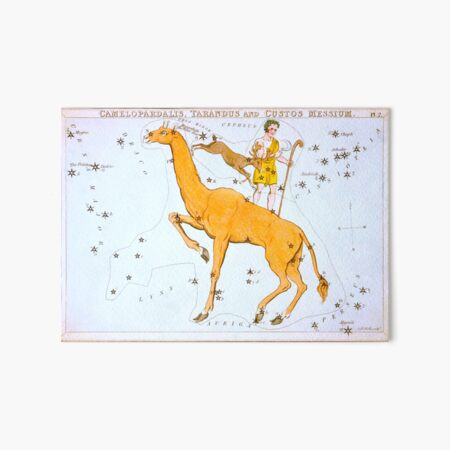 "Antique Camelopardalis, Tarandus, and Custos Messium Constellation Map ...
