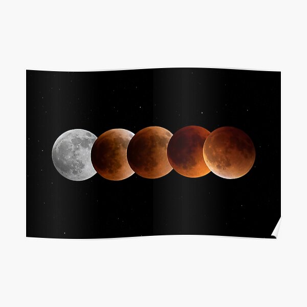 "Super Flower Blood moon - Lunar eclipse" Poster for Sale by darby8 ...