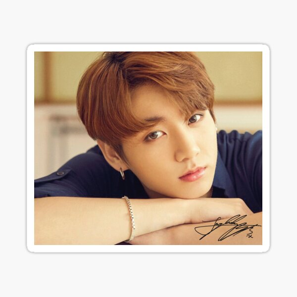 "BTS Jung Kook" Sticker by SwanForDesigns | Redbubble