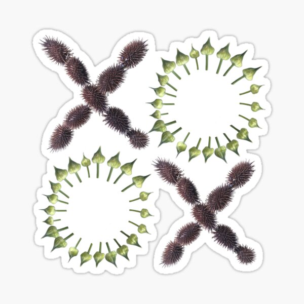 "xoxo nature made from burs and onion grass" Sticker by EveryDayDabble ...