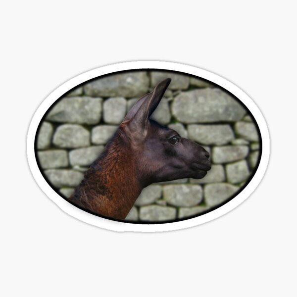 "Perú Llama" Sticker for Sale by theglobaladvent | Redbubble