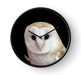 "Curious Barn Owl " by hummingbirds | Redbubble