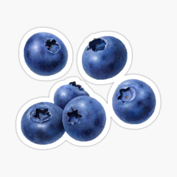 "Blueberry" Sticker by zarabukhari | Redbubble