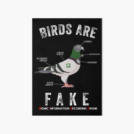 "Birds Are Fake - Birds Are Not Real - Drone Conspiracy Theory Funny ...