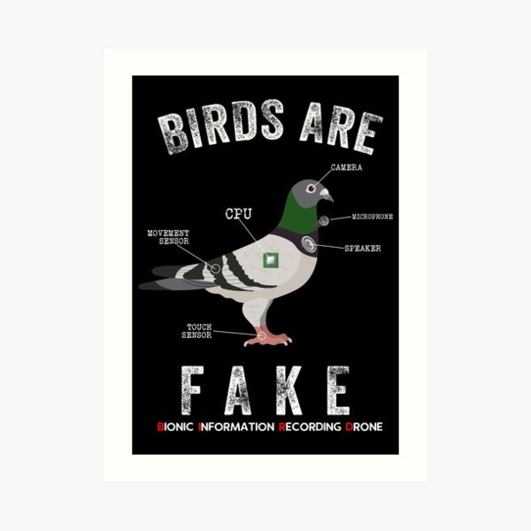 "Birds Are Fake - Birds Are Not Real - Drone Conspiracy Theory Funny ...