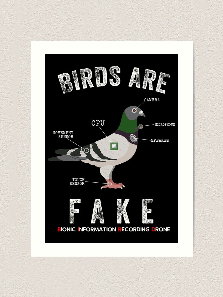"Birds Are Fake - Birds Are Not Real - Drone Conspiracy Theory Funny ...