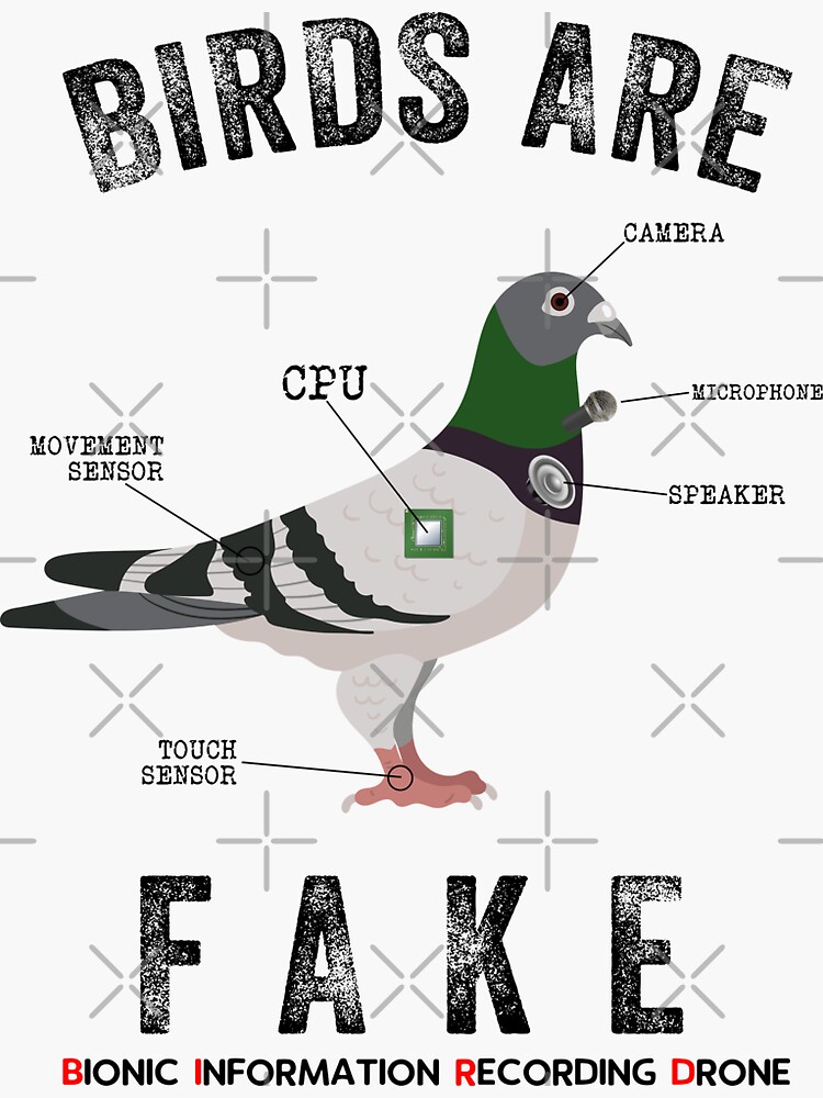 "Birds Are Fake - Birds Are Not Real - Drone Conspiracy Theory Funny ...