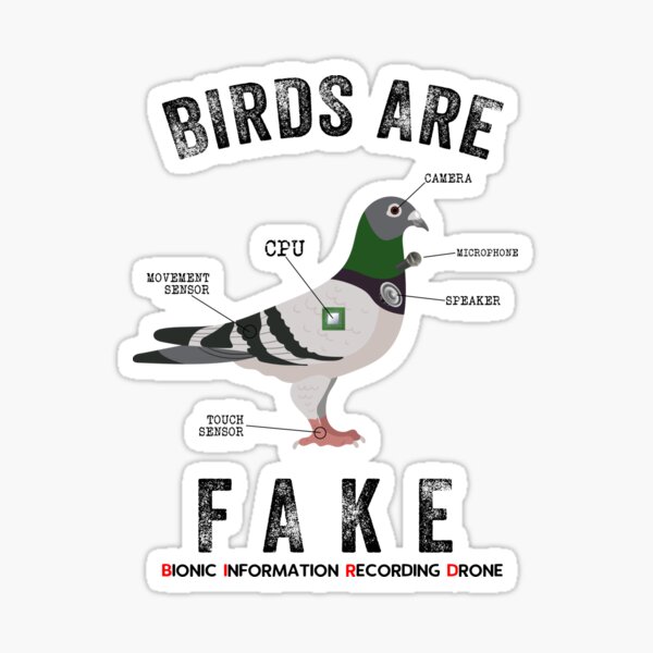 "Birds Are Fake - Birds Are Not Real - Drone Conspiracy Theory Funny ...