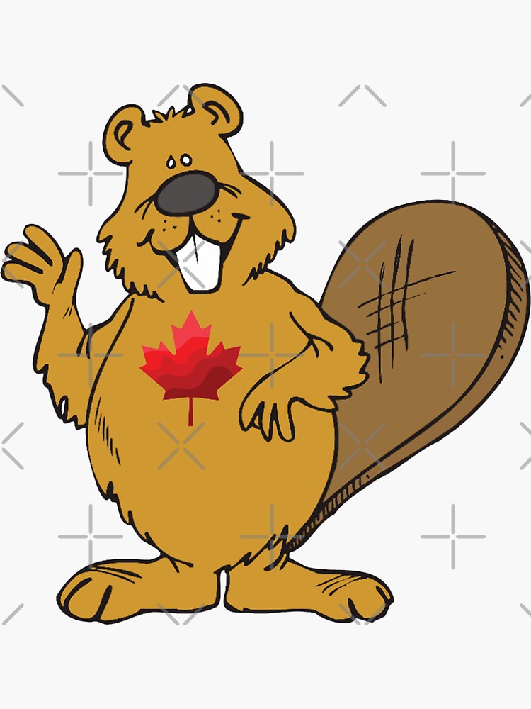 "Canadian Beaver and Maple Leaf" Sticker for Sale by KarmicKal | Redbubble
