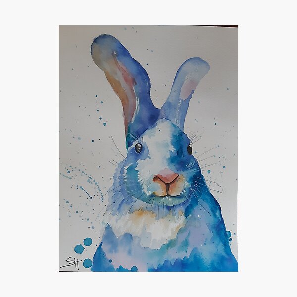 Watercolor Art & Collectibles Snow Bunny Portrait Original Watercolor ...