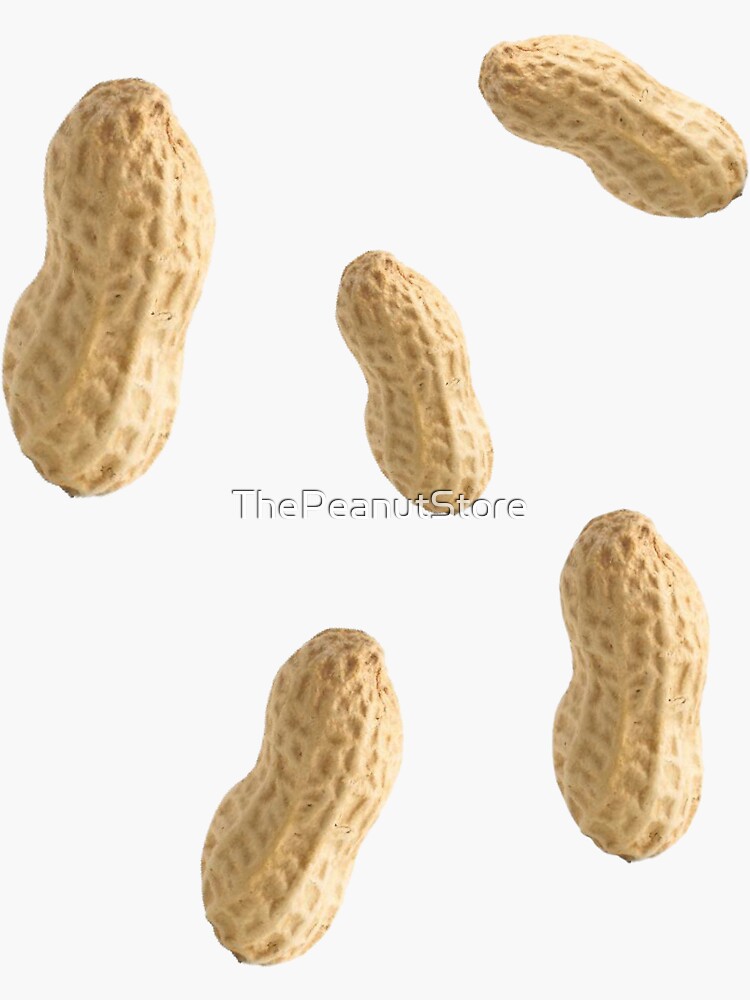 "Peanuts!" Sticker for Sale by ThePeanutStore | Redbubble