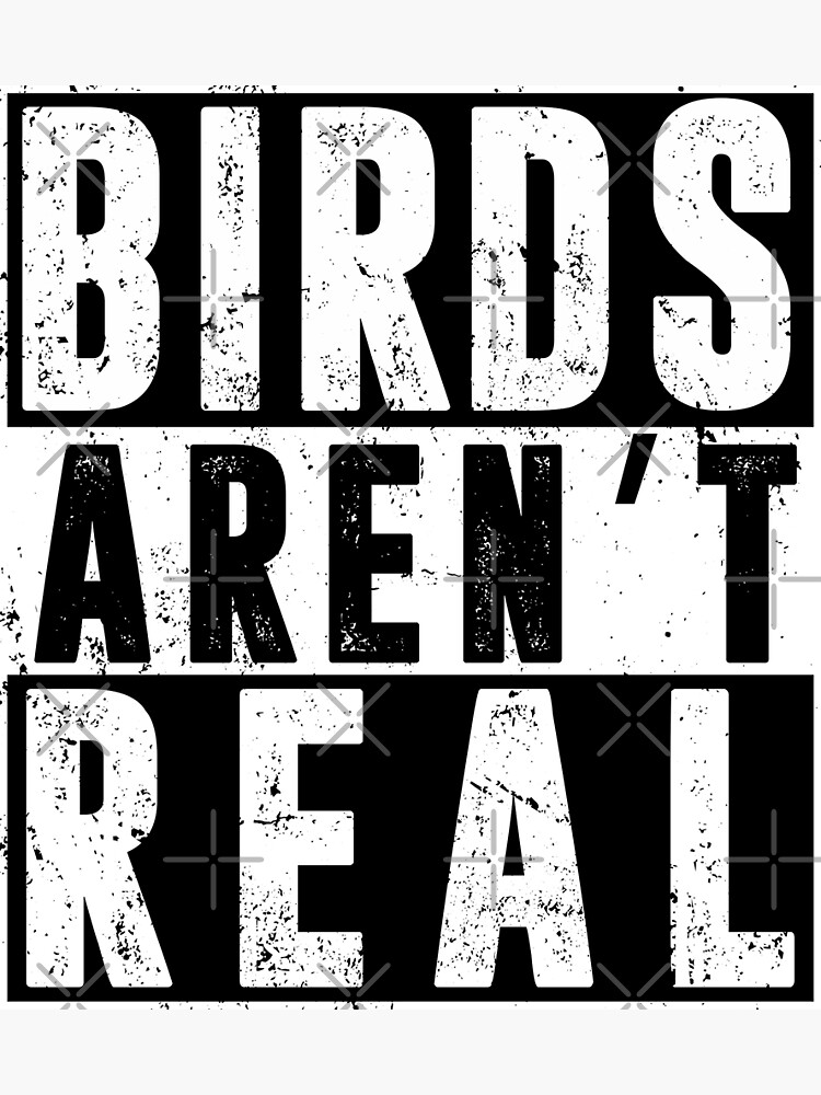 "Birds Arent Real - Funny Internet Meme" Poster for Sale by DvCreations ...