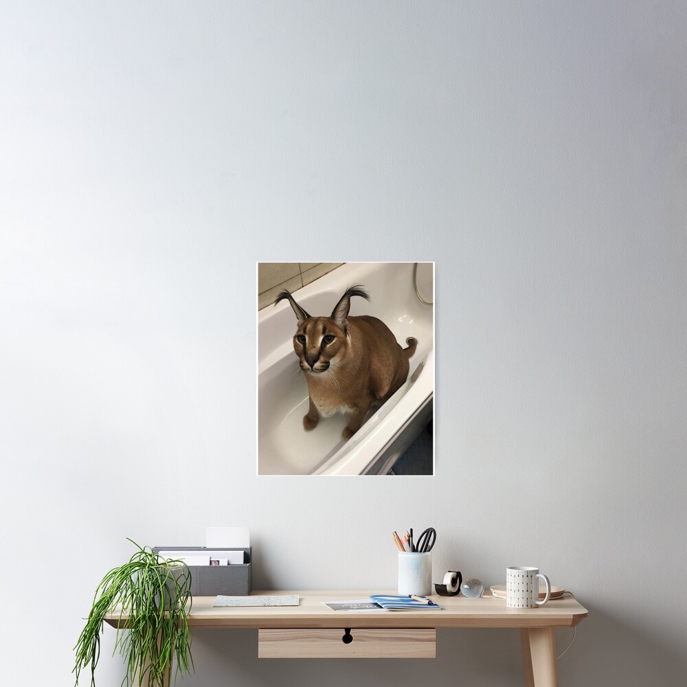 Big Floppa In A Bathtub Poster For Sale By Slavi Art Redbubble