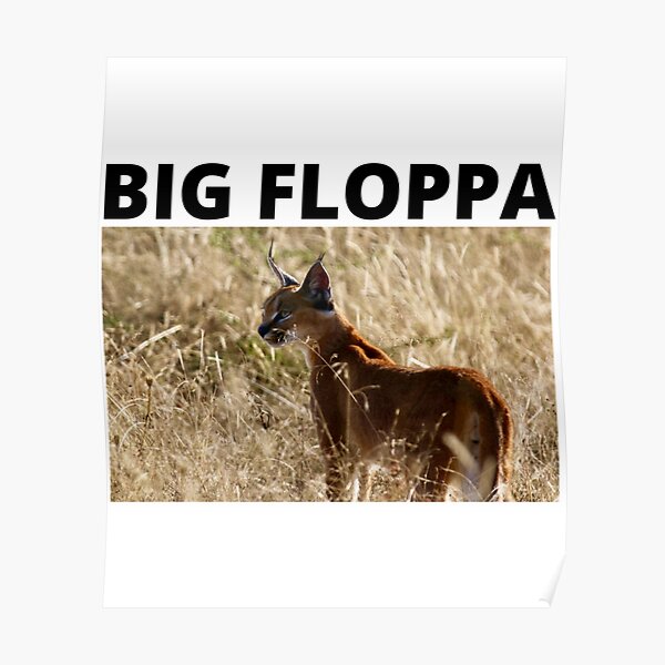"Big Floppa Meme " Poster for Sale by Slavi-ART | Redbubble