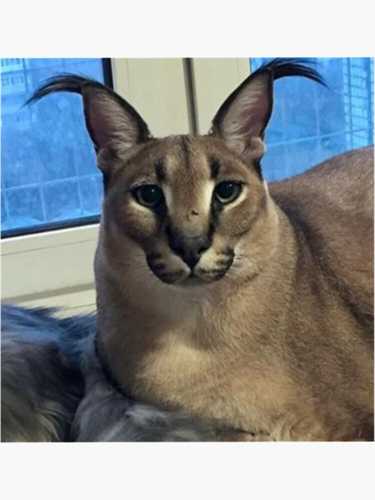 "Floppa " Sticker for Sale by Slavi-ART | Redbubble