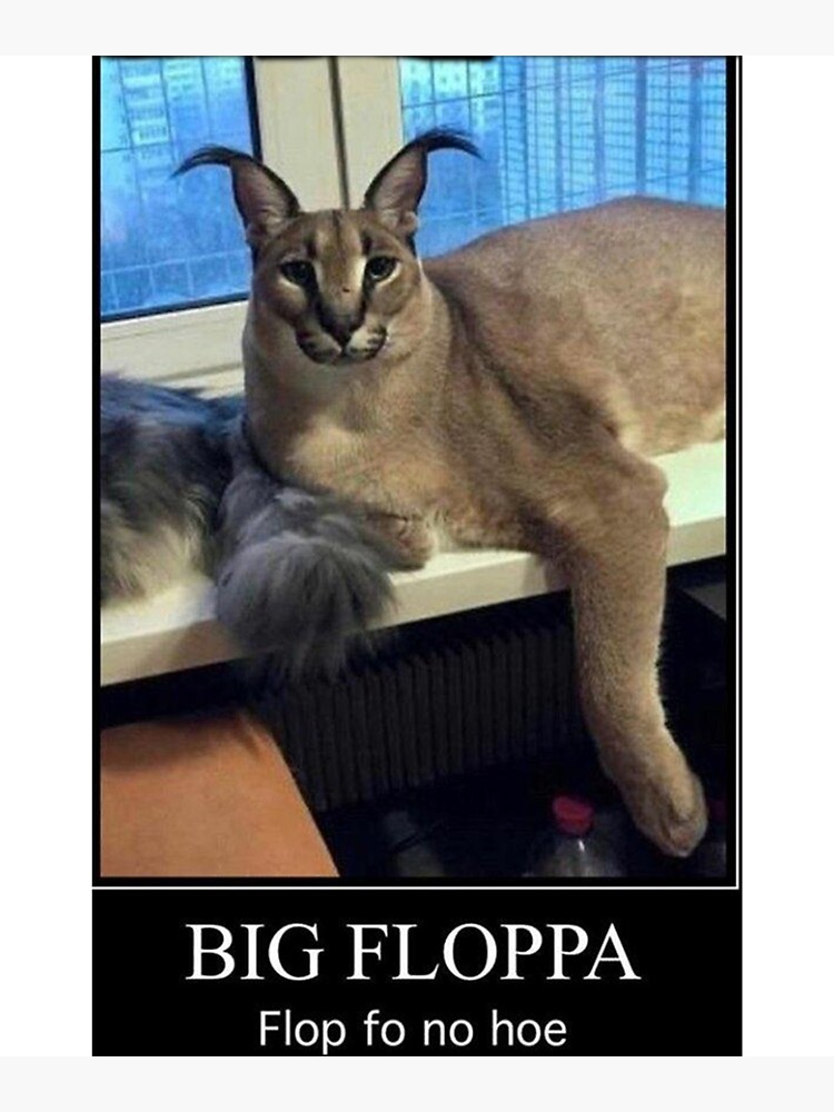 "Floppa " Poster for Sale by Slavi-ART | Redbubble