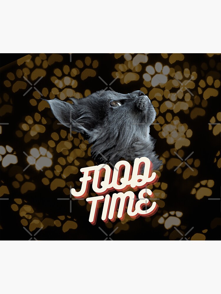 Cat Asking For Food Sticker For Sale By Class4you Redbubble