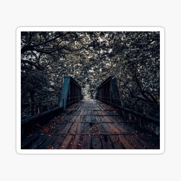 "Forest Bridge" Sticker by Turkdesigner | Redbubble