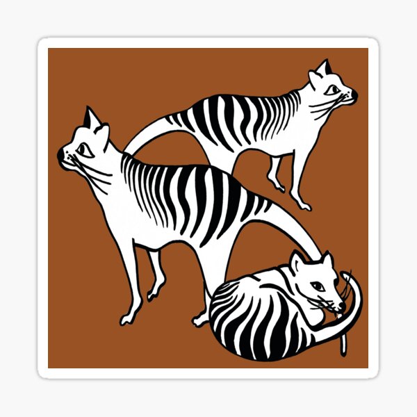 "Group of 3 Tasmanian 'Tigers'" Sticker for Sale by topologydesign ...