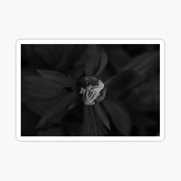 "Act 1 Scene 1 - Intro" Sticker for Sale by Matsumoto | Redbubble