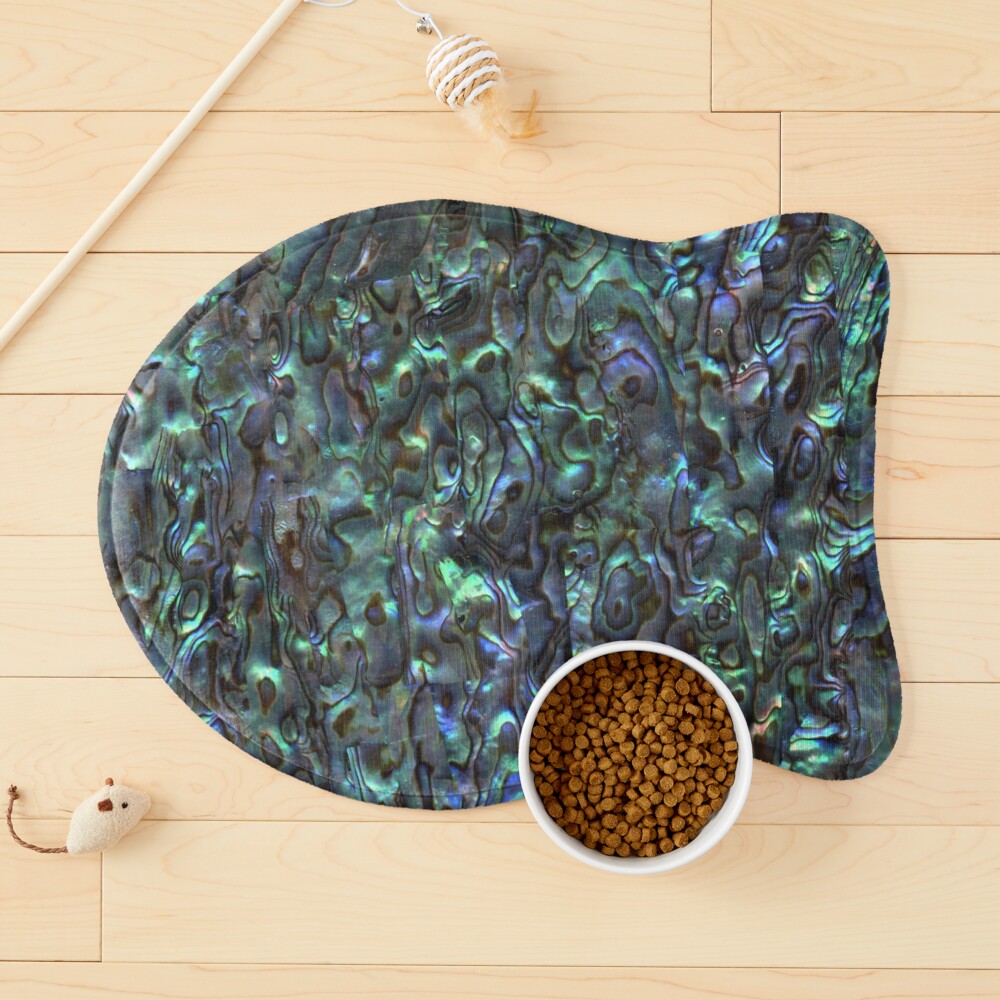 "Abalone Shell | Paua Shell | Seashell Patterns | Sea Shells | Natural ...