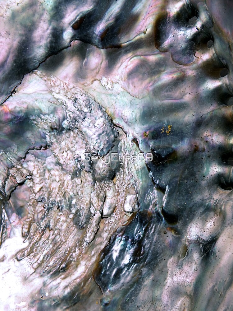 "Abalone" Sticker by SexyEyes69 | Redbubble