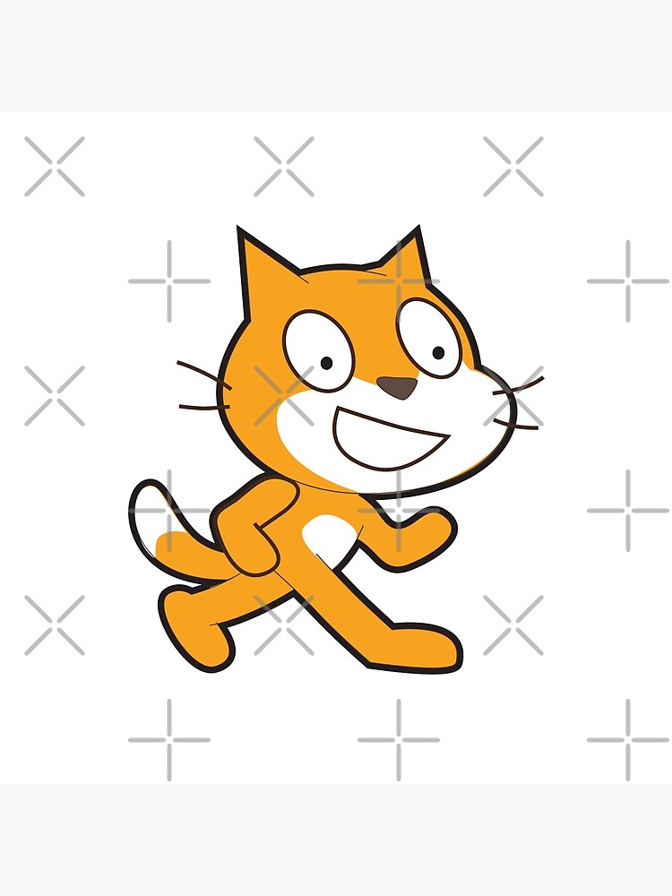 Scratch cat store