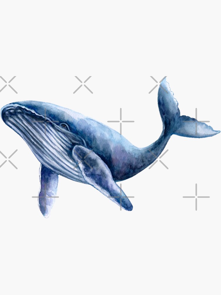 "Breaching Whale" Sticker for Sale by Abdulrahmman11 | Redbubble