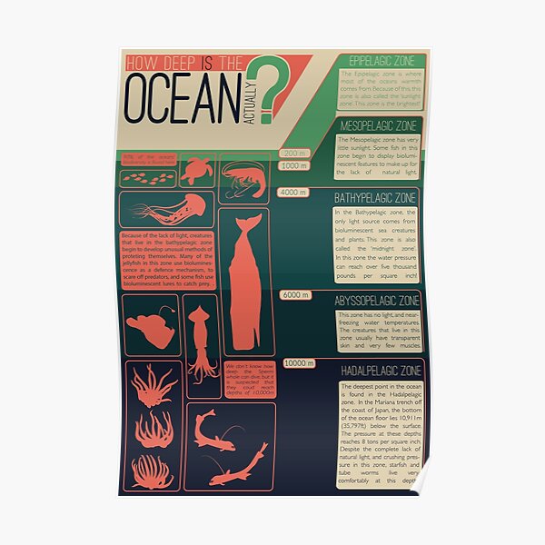 Oceanography Posters | Redbubble
